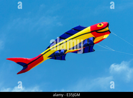 Fish shaped kite flying against cobalt blue Colorado sky Stock Photo ...