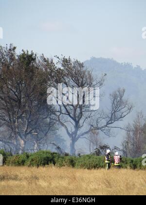 Forest fire in Wanstead flats close to Whipps cross hospital and ...