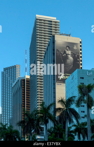 Downtown Miami with high rises and blue sky, USA Stock Photo - Alamy