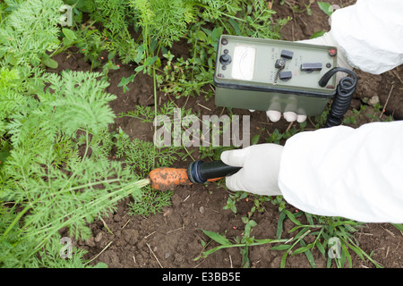 measuring radiation levels of carrot Stock Photo - Alamy