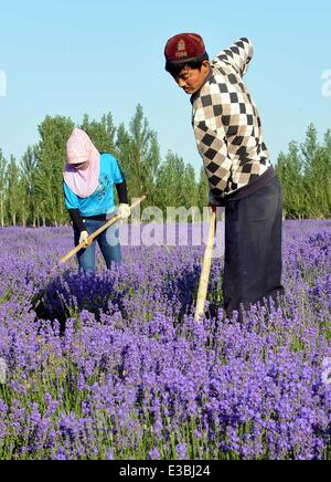 Yining, China's Xinjiang Uygur Autonomous Region. 28th June, 2022 ...