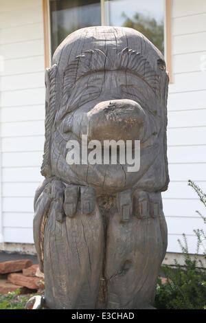 The Mount Horeb area is known as the Troll capital of the world. It was ...