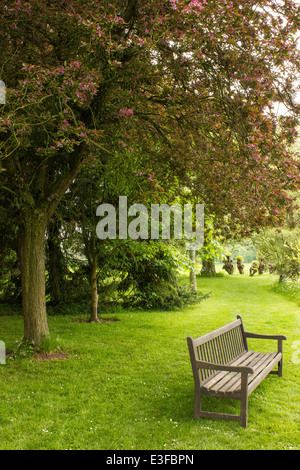 A Victorian garden with woodland and herbaceous plants seldom found ...