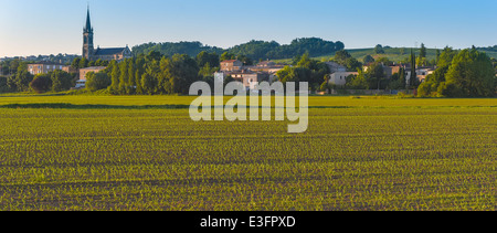 Corn Field, French Countryside Stock Photo - Alamy