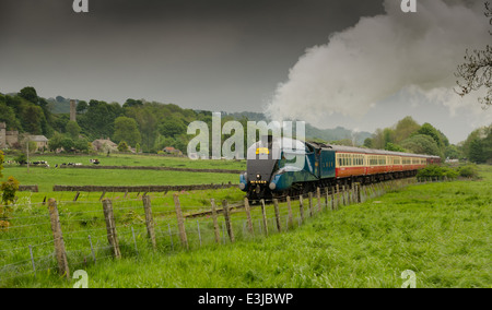 A4 class 'Bittern' steam train on the Wensleydale railway Stock Photo ...