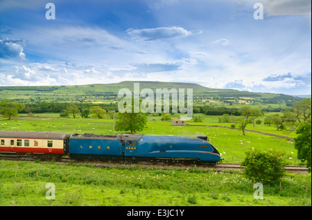 A4 class 'Bittern' steam train on the Wensleydale railway Stock Photo ...