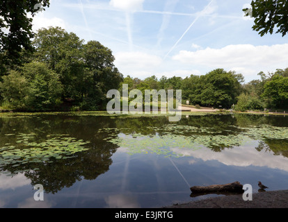 View of Keston Ponds, Bromley, Kent Stock Photo - Alamy