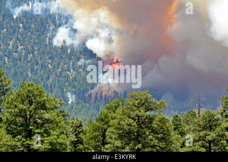 Schultz Fire, June 21, 2010 Stock Photo - Alamy