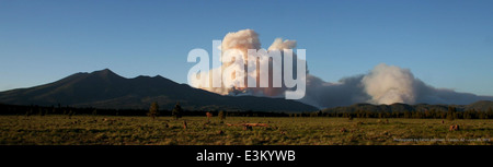 The Schultz Fire, a wildfire in Coconino National Forest, is shown at ...
