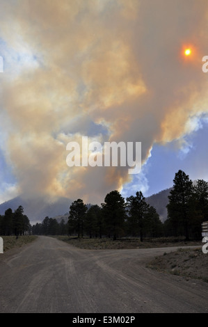 The Schultz Fire in the Coconino National Forest was a major wildfire ...