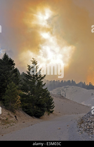 The Schultz Fire, a wildfire in Coconino National Forest, is shown at ...