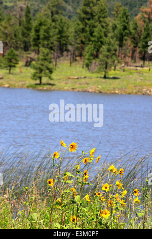 Cataract Lake is located within the Williams Ranger District, a natural ...