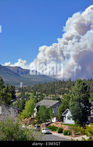 June 20 2010- The Schultz fire illuminated the San Francisco peaks over ...
