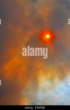 The Schultz Fire in Coconino National Forest caused significant smoke ...