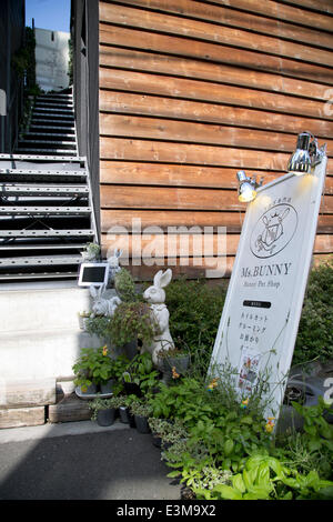 June 19, 2014, Tokyo, Japan - Ms.Bunny, a pet shop and cafe based in ...