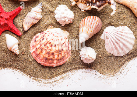 Seashells on the sand as a backgorund Stock Photo - Alamy