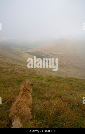 Galloway Forest Park in and around the Rhinns of Kells and the Back ...