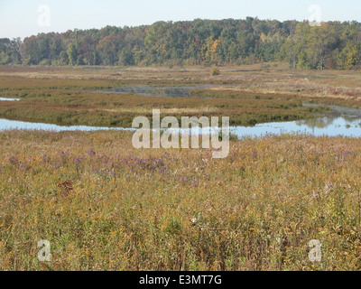 Michigan Wetland Management District focuses on protecting and ...
