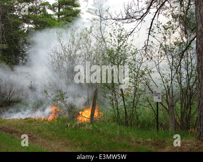 The Back fire, a wildfire in Michigan’s Upper Peninsula, burned part of ...
