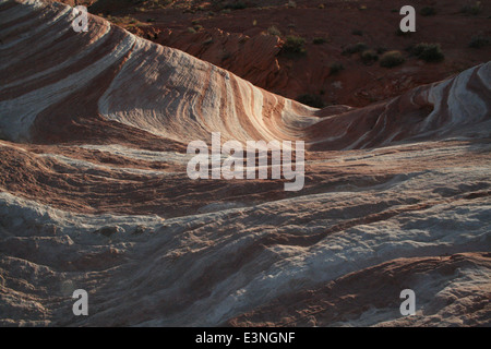 Fire Wave, Sandstein, Valley of Fire State Park, Nevada, USA Stock ...