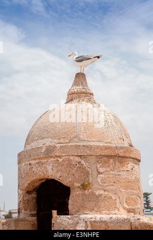 Morocco, Essaouira, on top of the Portuguese viewing tower at the Port ...