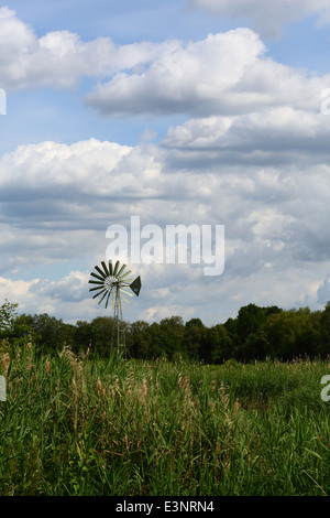 A wind powered water pump, Windmill made by the "Beatrice Dempster Mill ...