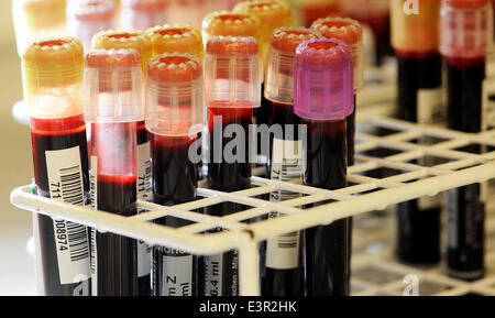 Blood bottles are laying on a table in the blood donation centre of the ...