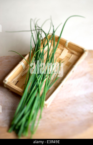Curly Chives Herb Stock Photo - Alamy