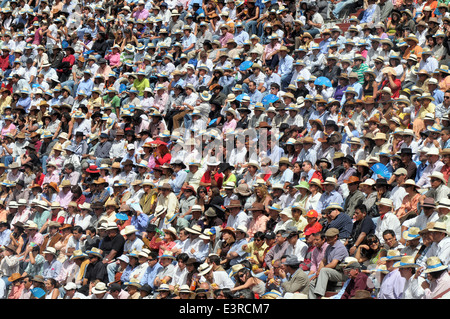 Crowd watch bullfighting Stock Photo - Alamy