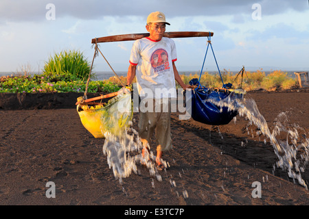 Marine salt production, Kusamba, Bali, Indonesia, Southeast Asia, Asia ...