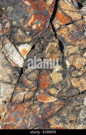 Weathered Rhyolite (Felsic - Silica rich Stock Photo - Alamy