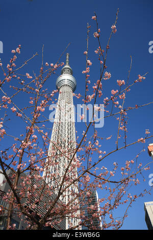 Tokyo sky tree and Tobu isesaki line Stock Photo - Alamy