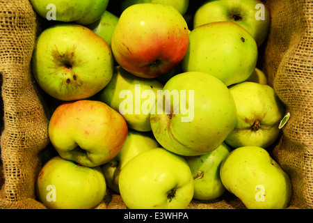 Granny Smith green apple Stock Photo - Alamy