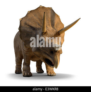 3d Triceratops front view Stock Photo - Alamy