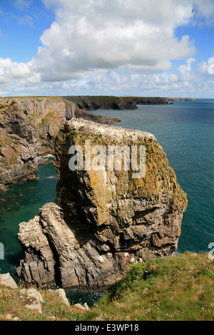 Stack Rocks Castle Martin Pembrokeshire Wales UK Stock Photo - Alamy