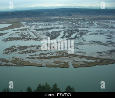 The Nisqually Estuary in Puget Sound is a vital wetland ecosystem ...
