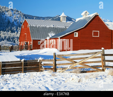 USA, Washington State. Methow Valley wildflowers, Balsamroot and ...