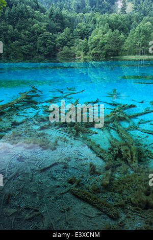 Jiuzhaigou, Five Flowers, lake, China, Asia, national park, spring ...