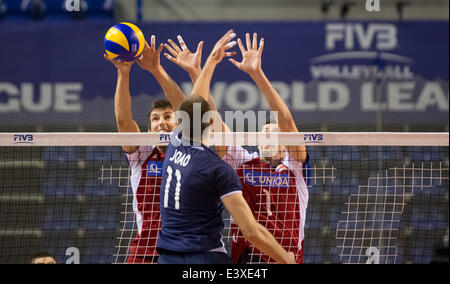 Czech Republic's Filip Vesely, left, battles for the puck against ...