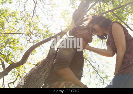 Face in the tree Stock Photo - Alamy