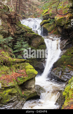 The Falls of Acharn near loch Tay, Scotland, UK Stock Photo - Alamy