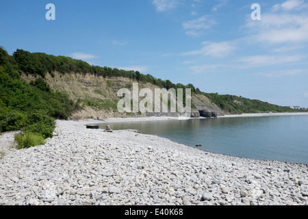 A view of Porthkerry Park and pebble beach from The Knap, Barry, South ...