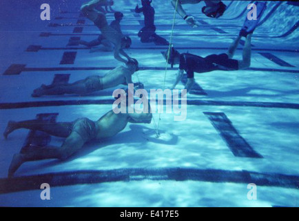 Buds training pool practice Stock Photo - Alamy