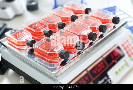 shaker for the growth of bacterial culture Stock Photo - Alamy