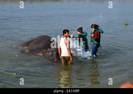 Elephant Shower That's a heffalump of a shower trunk! Two ladies enjoy ...