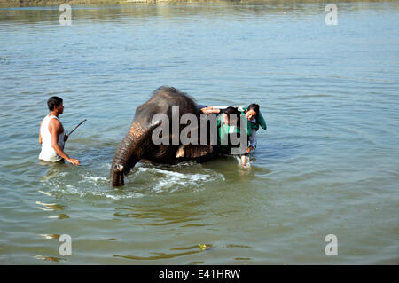 Elephant Shower That's a heffalump of a shower trunk! Two ladies enjoy ...