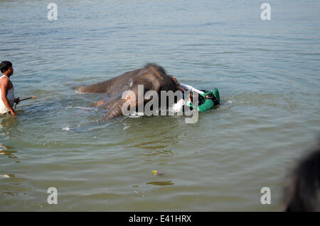 Elephant Shower That's a heffalump of a shower trunk! Two ladies enjoy ...
