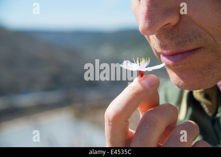 Man sniffing a flower of almond tree. Close view Stock Photo - Alamy