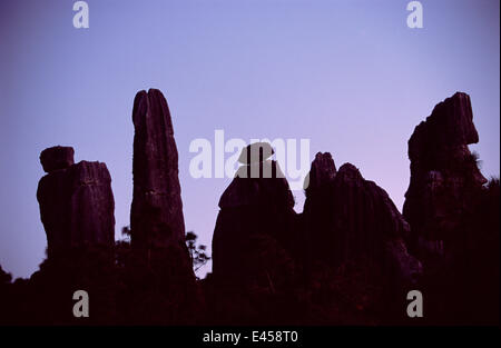 Stone forest of eroded limestone pinnacles, Yunnan Province, China ...