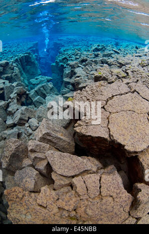 Underwater landscape showing the tectonic boundary between the Eurasian ...